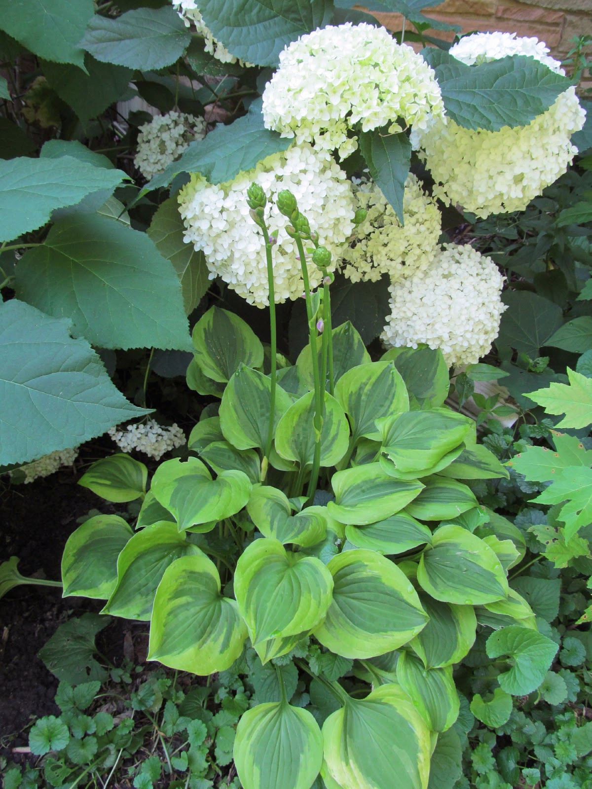 Exuberant Color : More blocks..........