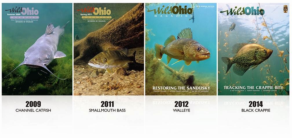 Engbretson Underwater Photography: Wild Ohio Magazine
