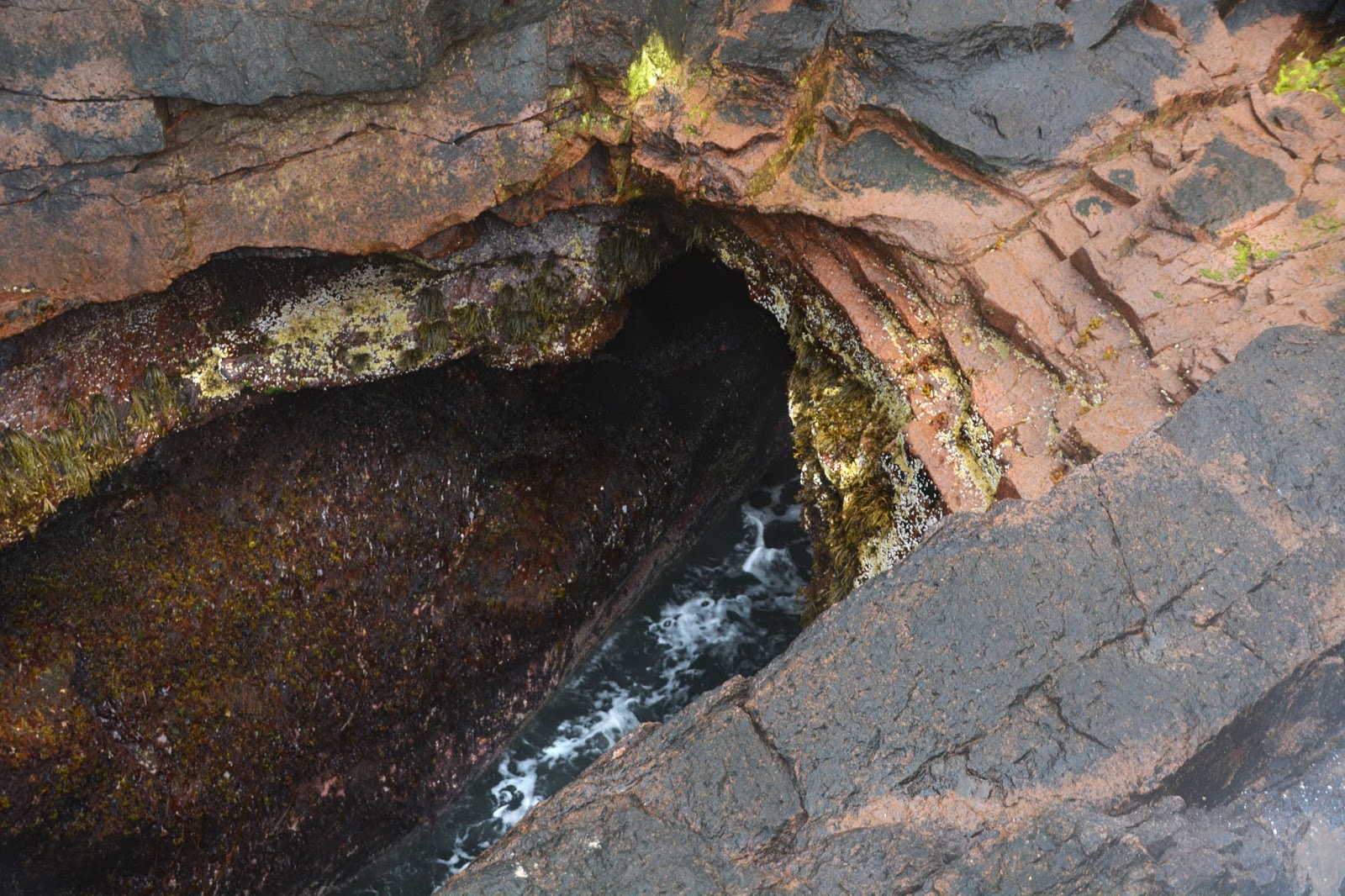 My World in Pennsylvania and Beyond: Acadia National Park - Thunder Hole