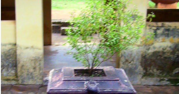 Jyothisham Pages - ഭാരതീയ ജ്യോതിഷം: തുളസിത്തറ -THULASI THARA