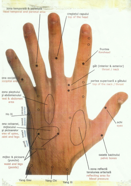 Autocunoasterea prin Constientizarea Sinelui: Mana stanga - Efectele ...