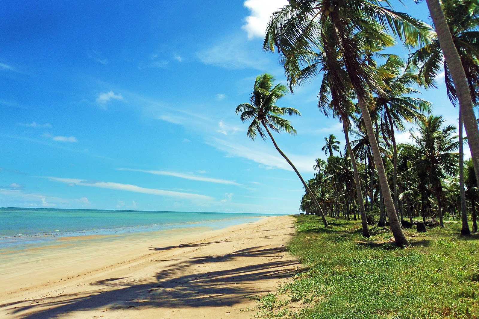 **MIL LUGARES PARA VISITAR**: Maragogi_AL