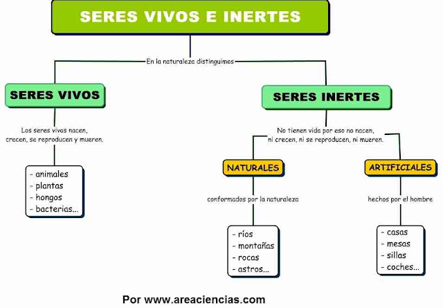 Exploración del Mundo Natural en el Preescolar: Seres vivos vs. Materia ...