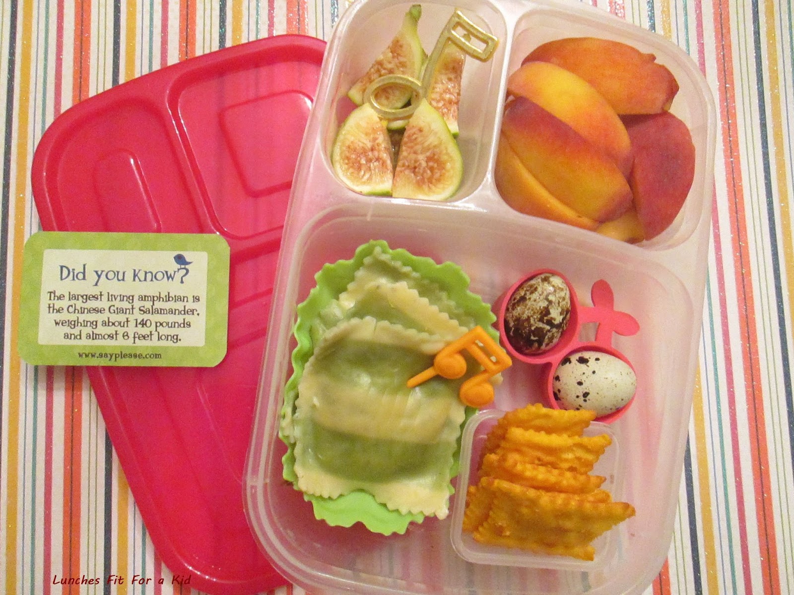 Lunches Fit For a Kid: Lunches: 9.18.13