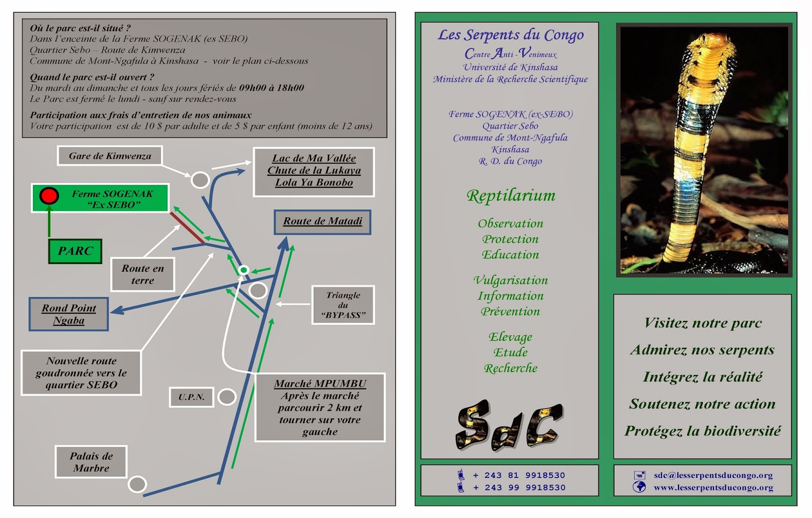 mama congo: Les Serpents du Congo