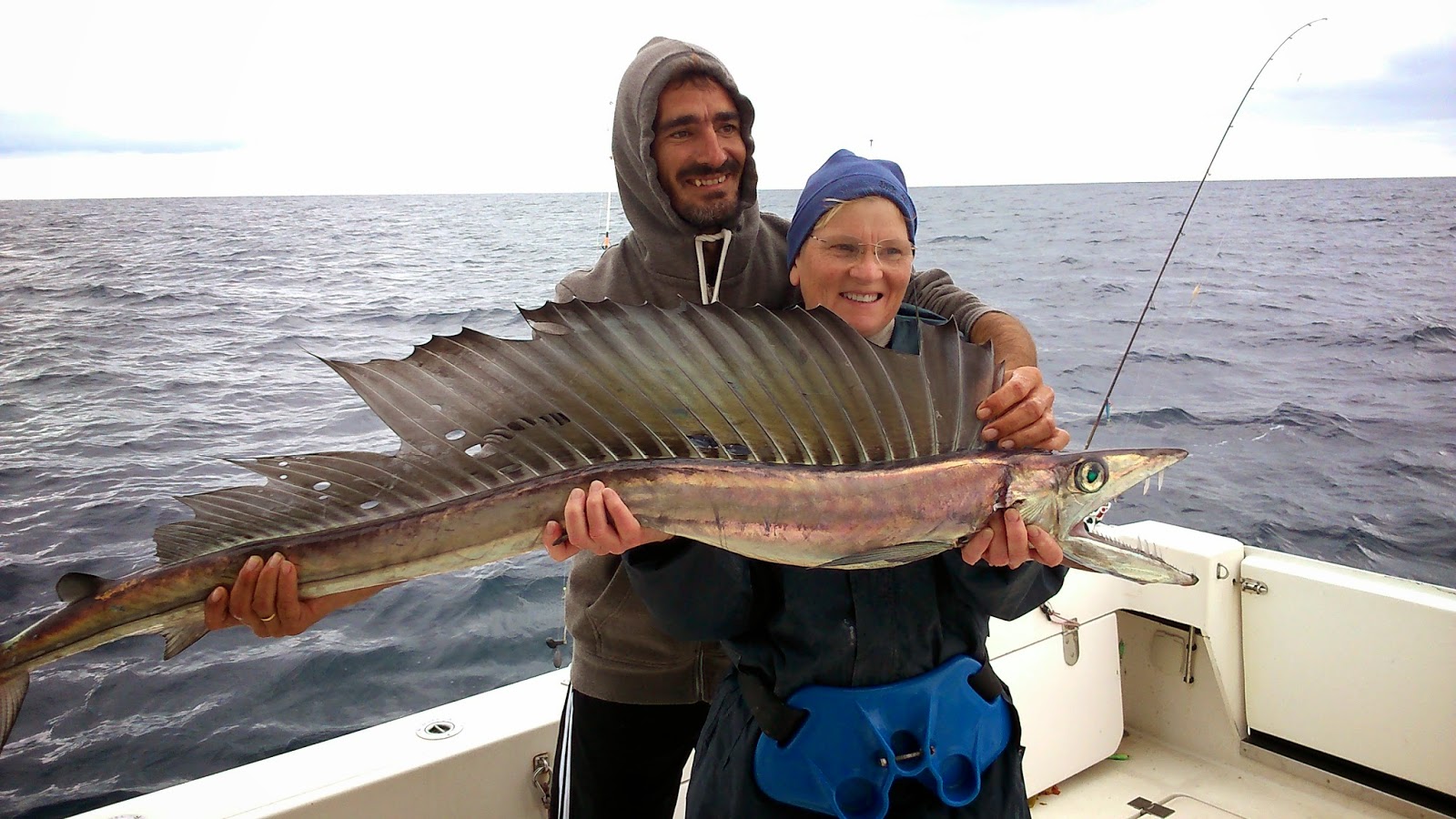 January 2015 Fish of the Month Entry - Fuerteventura Lancet Fish!