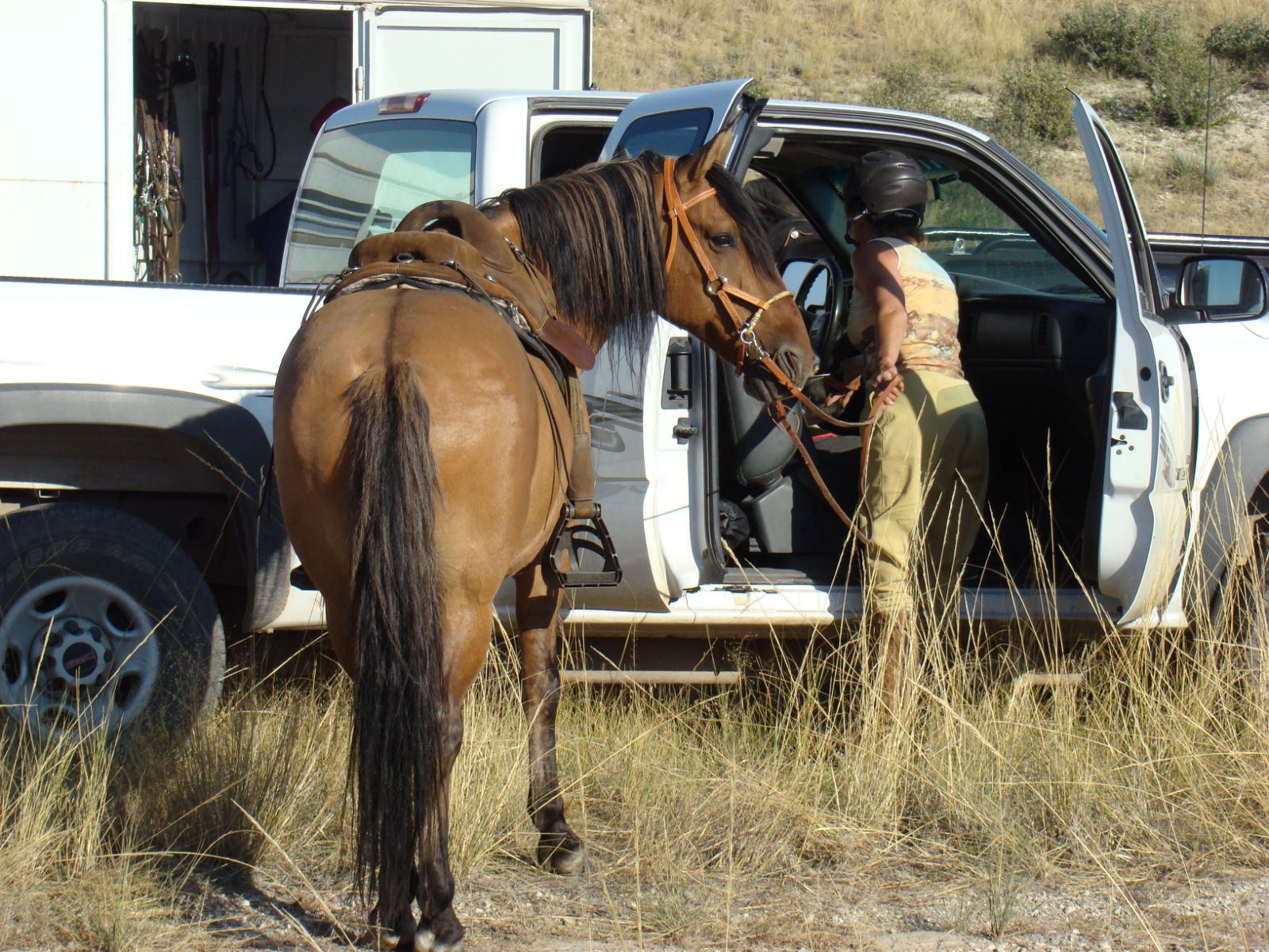 Mustang Eco Tours (Moritz4@q.com): NORTHERN COLORADO MUSTANG RIDERS FOR ...
