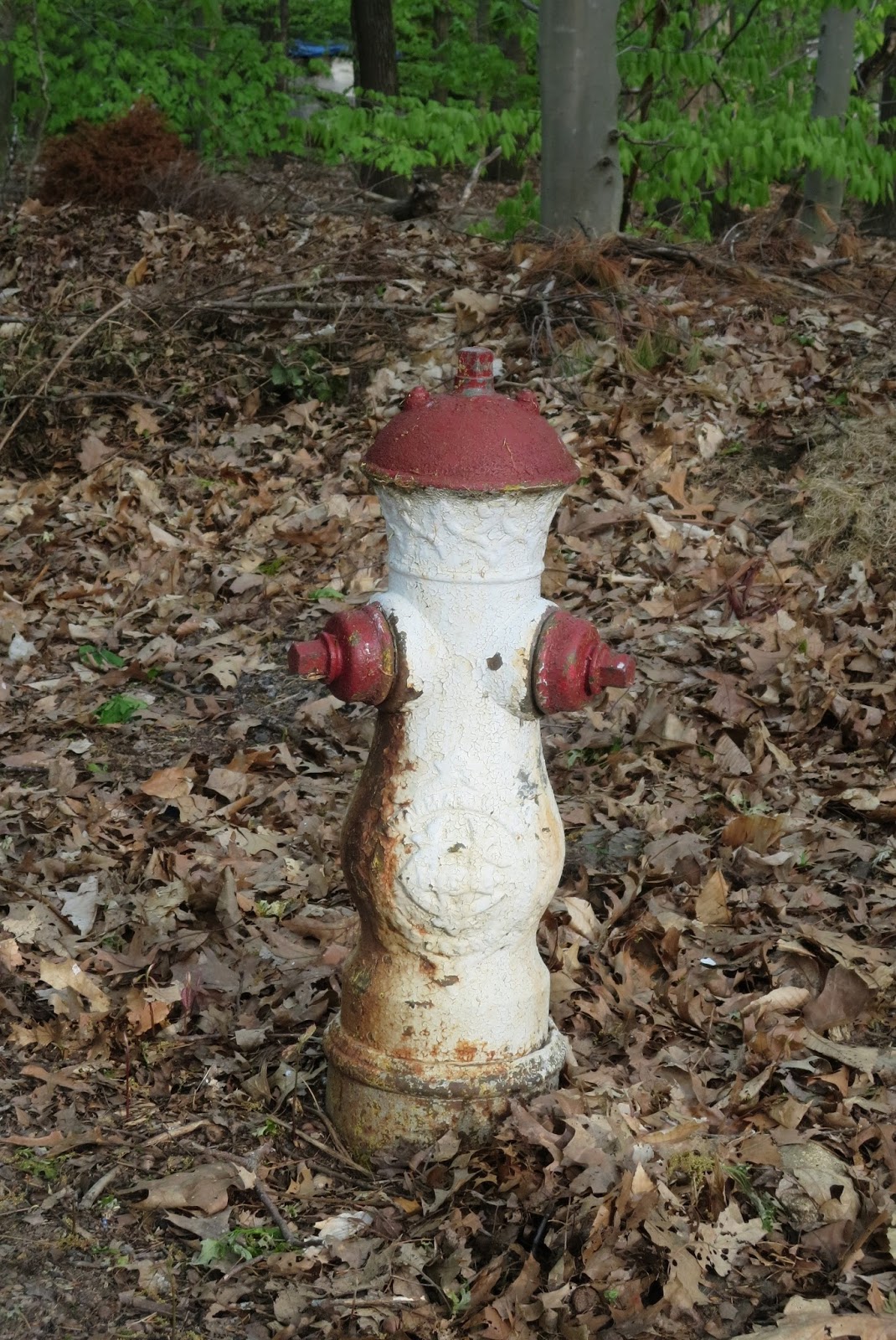 Maynard Life Outdoors and Hidden History of Maynard: Fire Hydrants ...