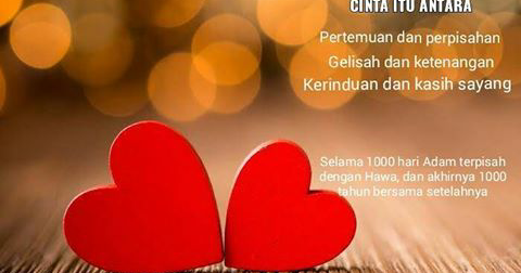 Mari Membaca: Filsafat Cinta (Arti dan Fungsi Cinta dalam Kehidupan)