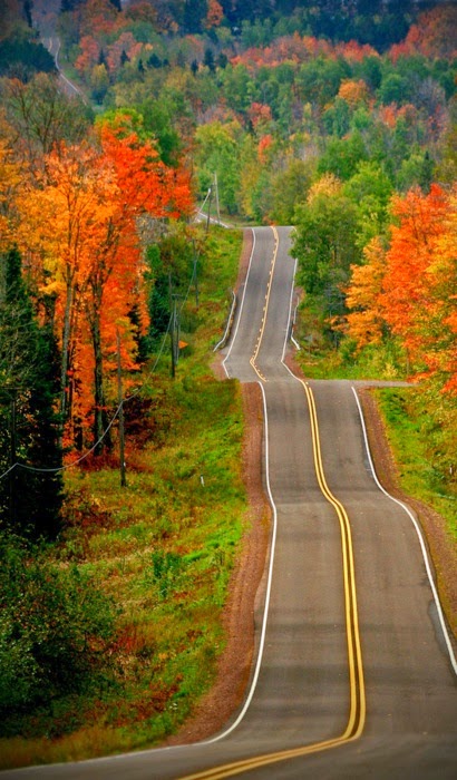 Let's take the long way home ~ Photos Hub