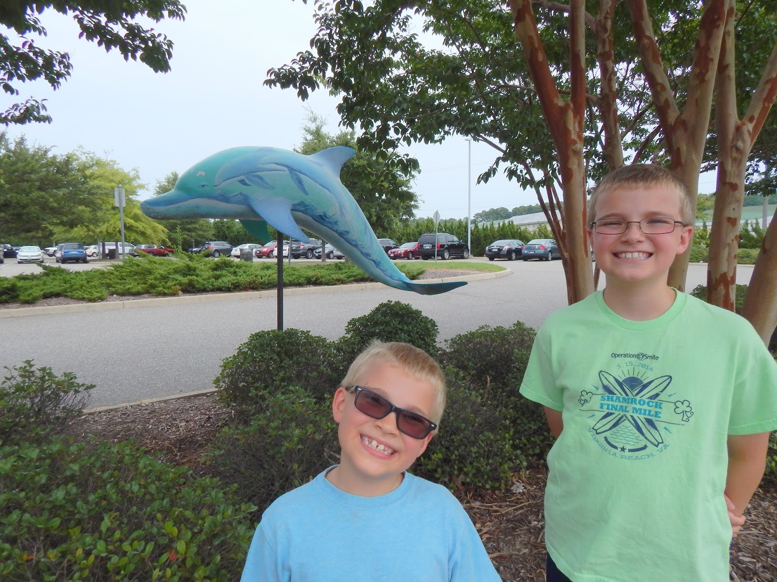 The Great Virginia Beach Dolphin Quest
