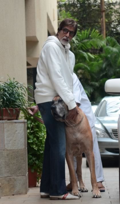 Jobs From Home: Amitabh Bachchan House Parteeksha"s Most Impotertent Photos