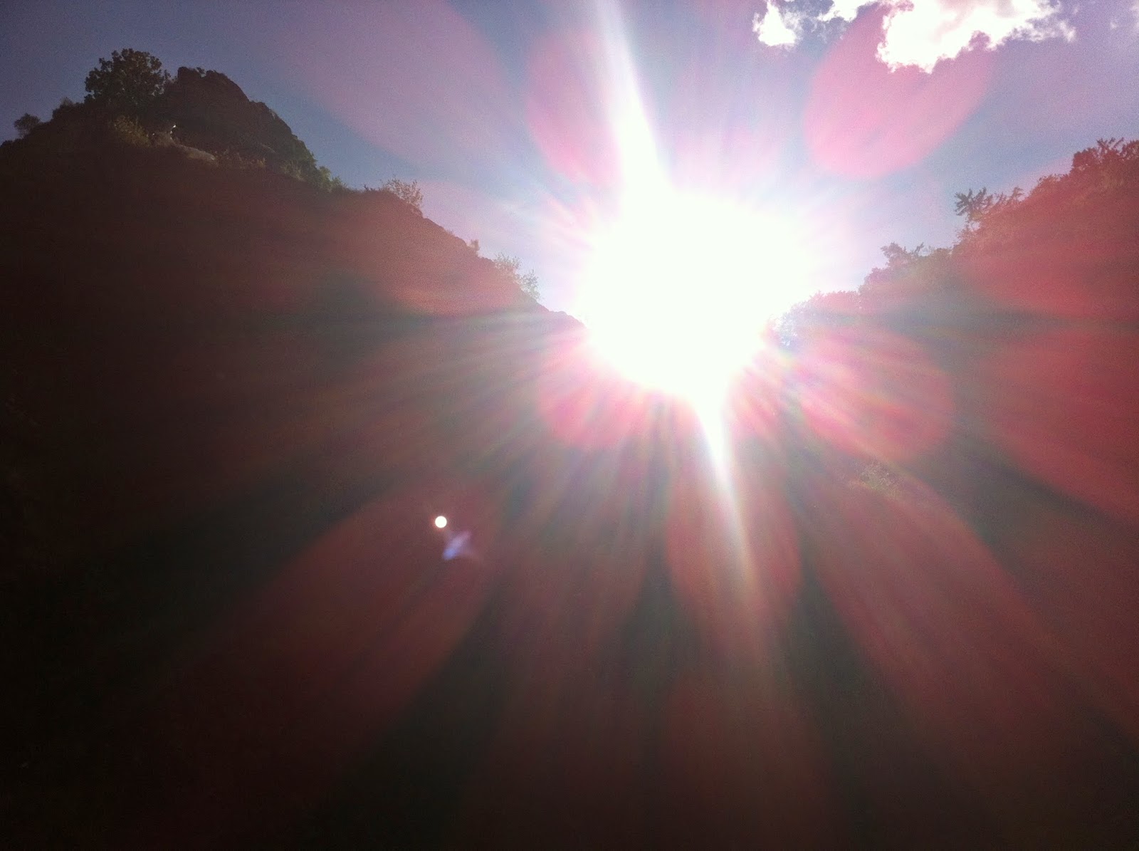 Family Nights: (Vakantie) Serie: Schepping dag 1