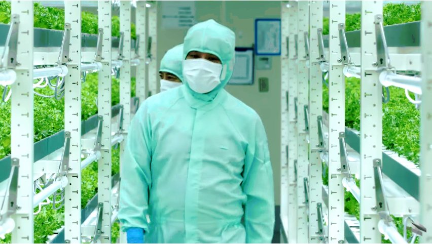 Everyday Nature: Rise of high-tech farming - a worrying trend