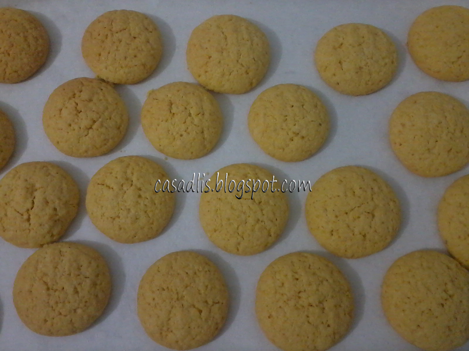 Ninha: BISCOITO SEM GLÚTEN E SEM LACTOSE