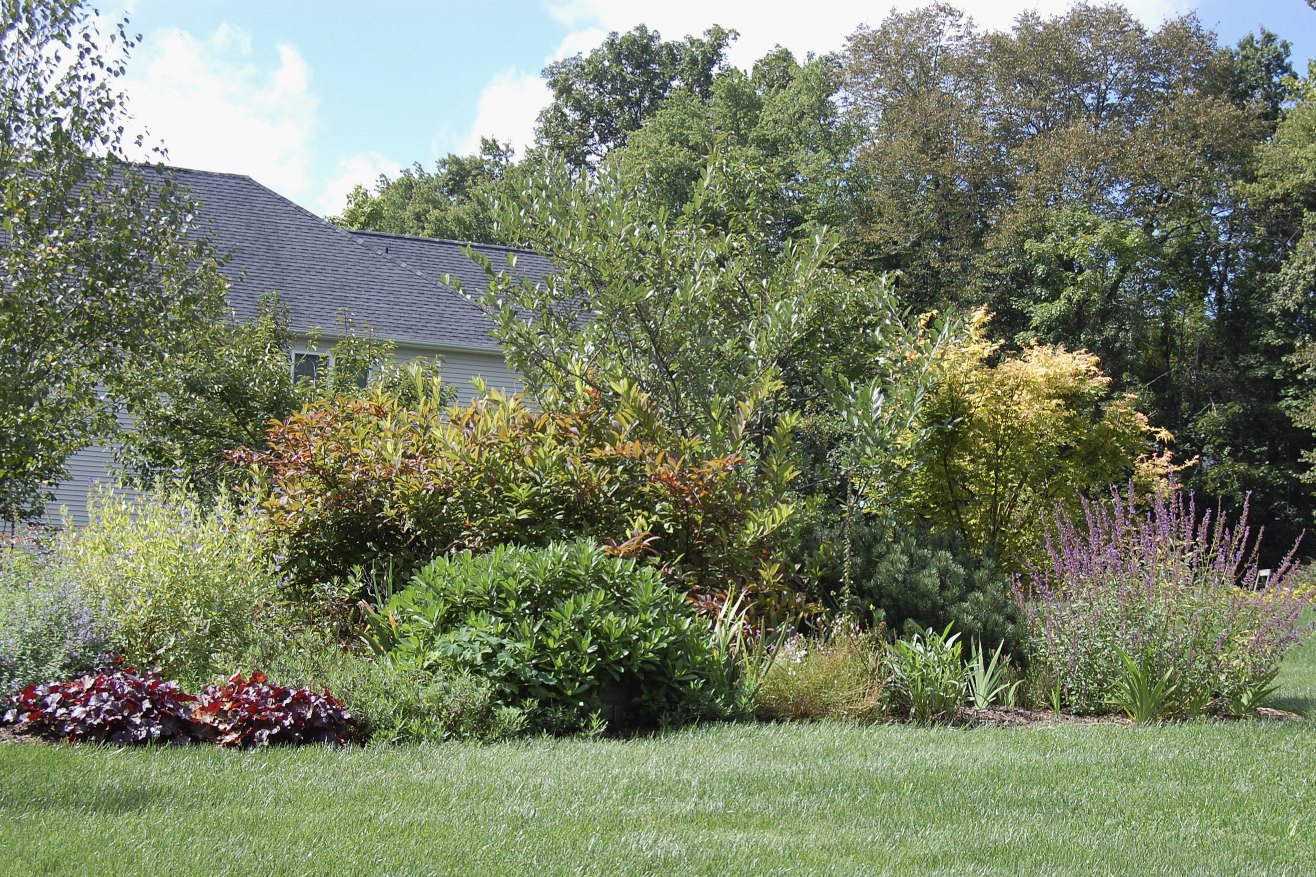 Plant Inventory at 20 Timothy : Birch Garden