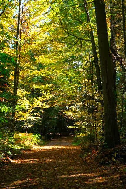 Sense and Simplicity: 4 Reasons to Fall in Love with Autumn