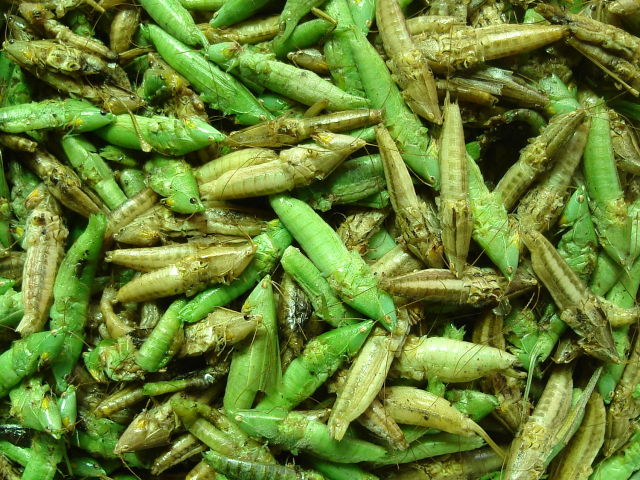 Kageralink: Senene heshima na biashara ya mhaya