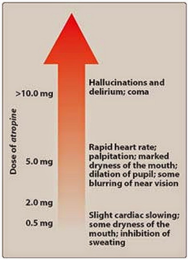 Pharmacological Blog: Atropine