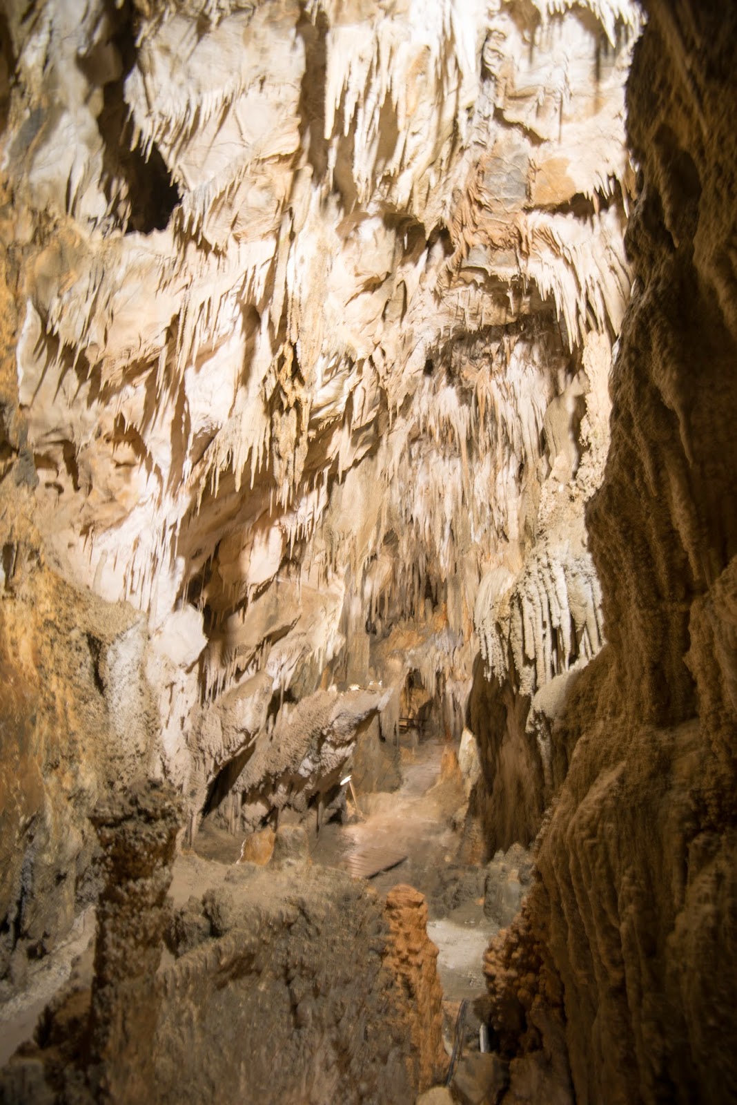 On the way to Golden Bay {Ngarua Caves and the drive to Pakawau} | the ...