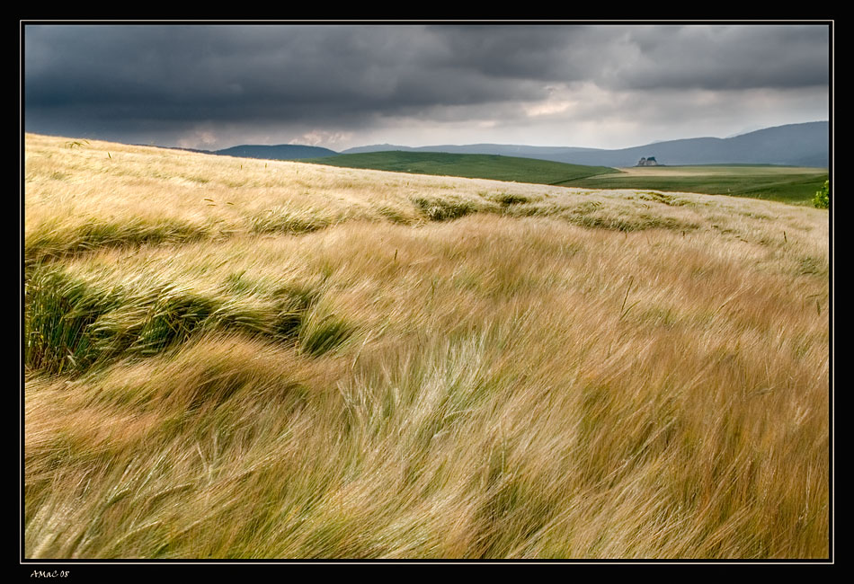 Las horas sitiadas: El viento es nuestra patria