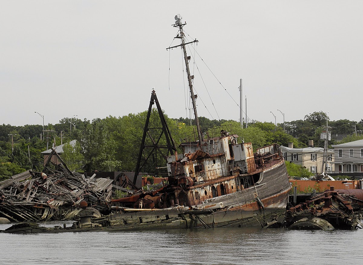 The Arthur Kill Ship Graveyard – Flesh & Relics