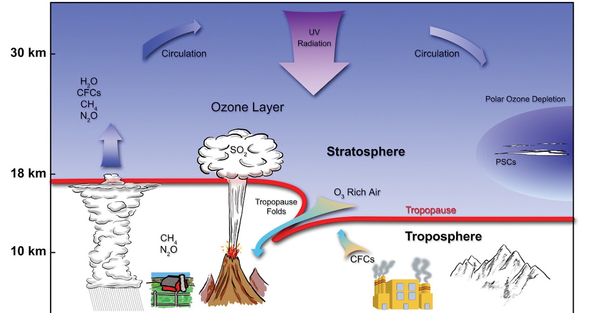 Environmental Academic Research at wbmfoundation : Destruction Of Ozone ...