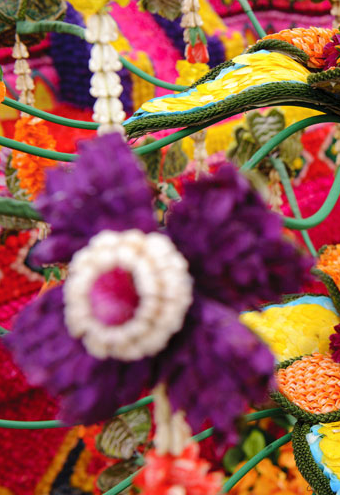 Mashmoom: Chelsea Flower Show , London 2012