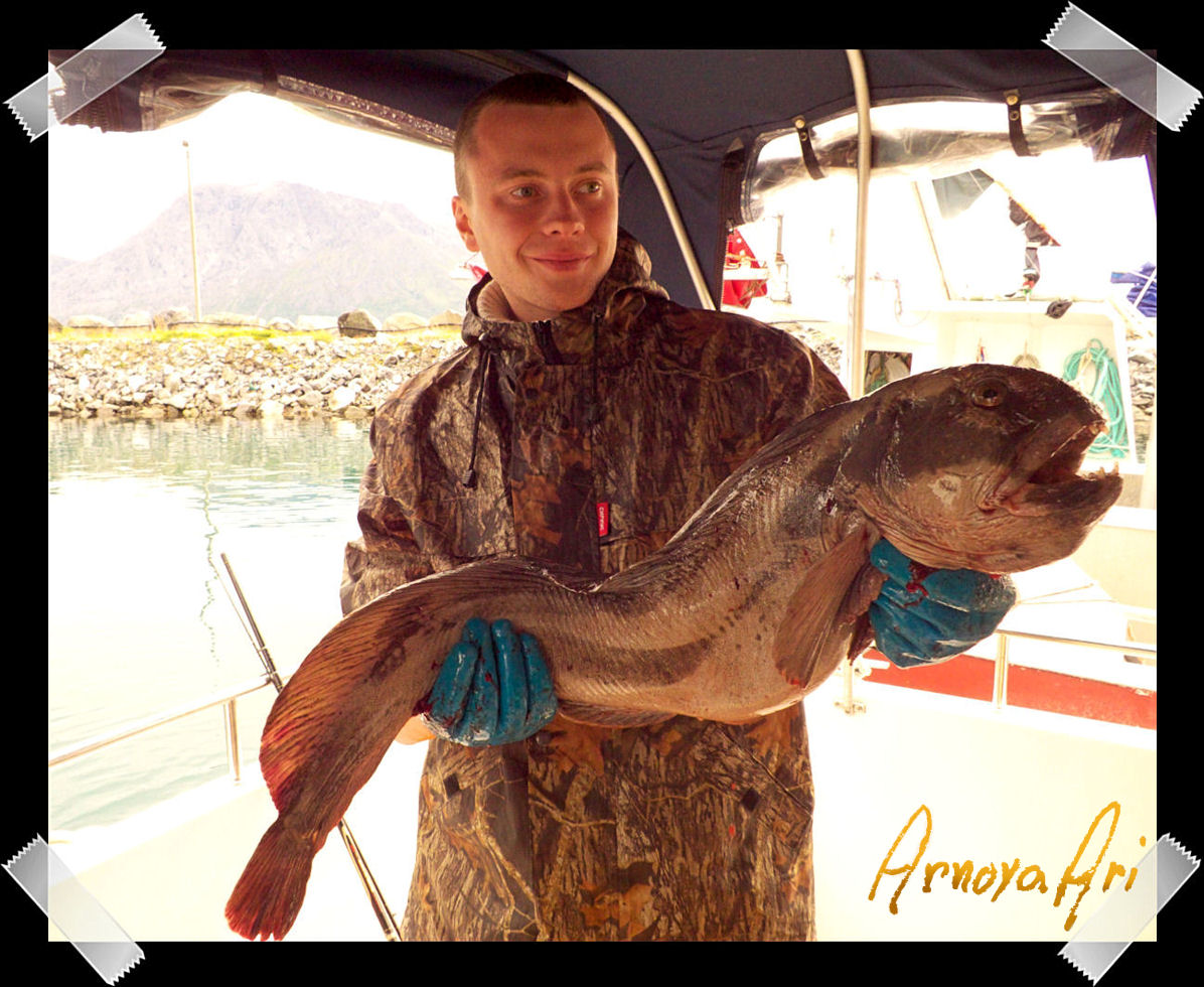 Arnoya Norway: Turska-God-Torsk-треска & Kissakala-Norwegian Catfish ...