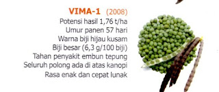 Budi Daya Peternakan, Pertanian dan Perkebunan: Bibit kacang Hijau Vima 1