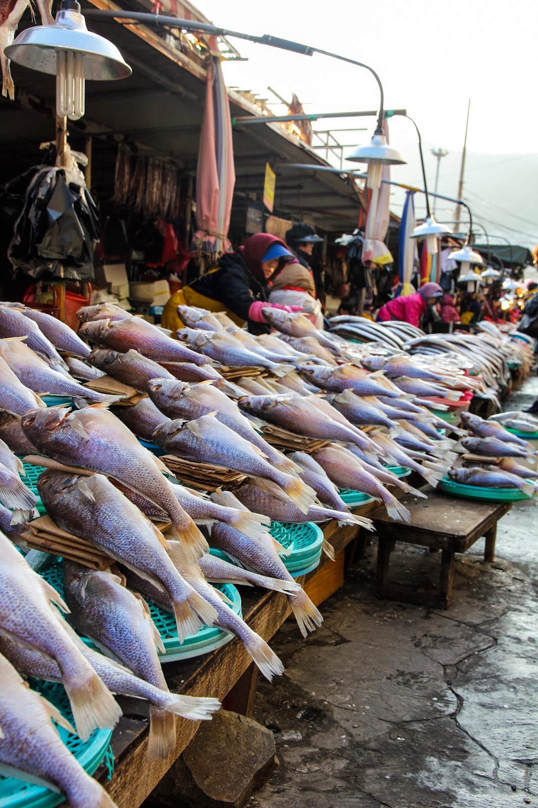 A Morsel of Marie's Musings...: Jagalchi Fish Market- Busan