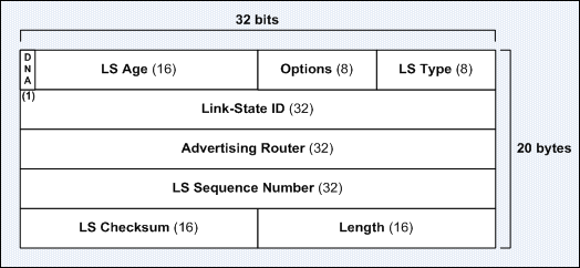 - itcertnotes -: OSPF LSA Types