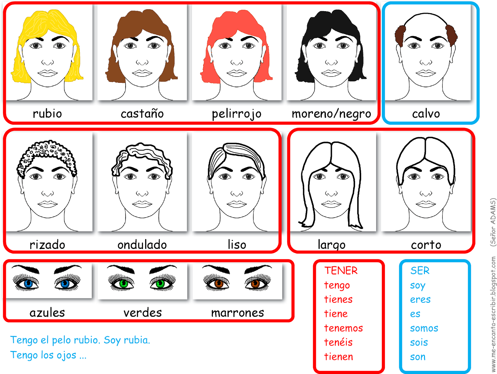 Spanish Fun: Los Ojos y El Pelo