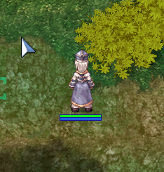 Ragnarok: WPE 無限飛 運用