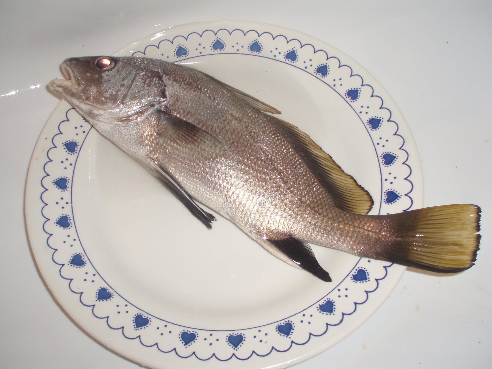 Mis fotos un poco de todo, puestos de pesca y amigos pescando en la ...