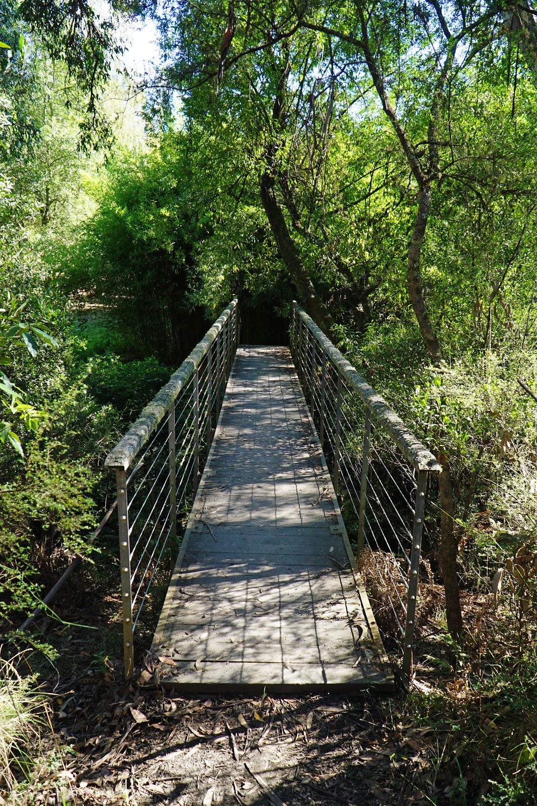 The Canyon & Phantom Falls (Great Otways National Park) ~ The Long Way ...