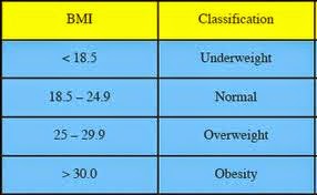 BMI (Body Mass Index) | IZZAHPERMATAHATI