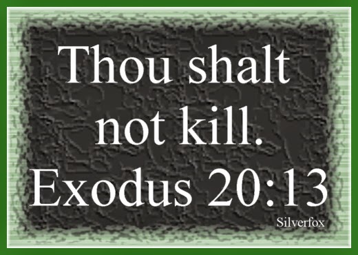 Around The Block: Do Not Kill