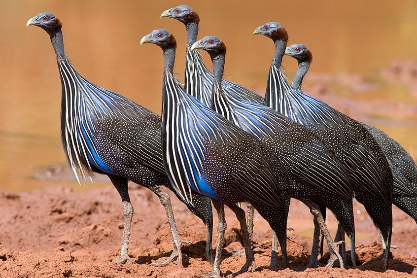 Natureza, Perfeição sem tamanho...