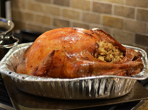 Monitor Post: Thanksgiving: The Turkey as a stress factor