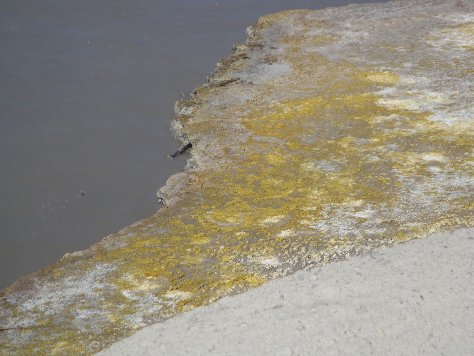 Kamp Kyburz: Yellow Rhombic Crystalline Solid