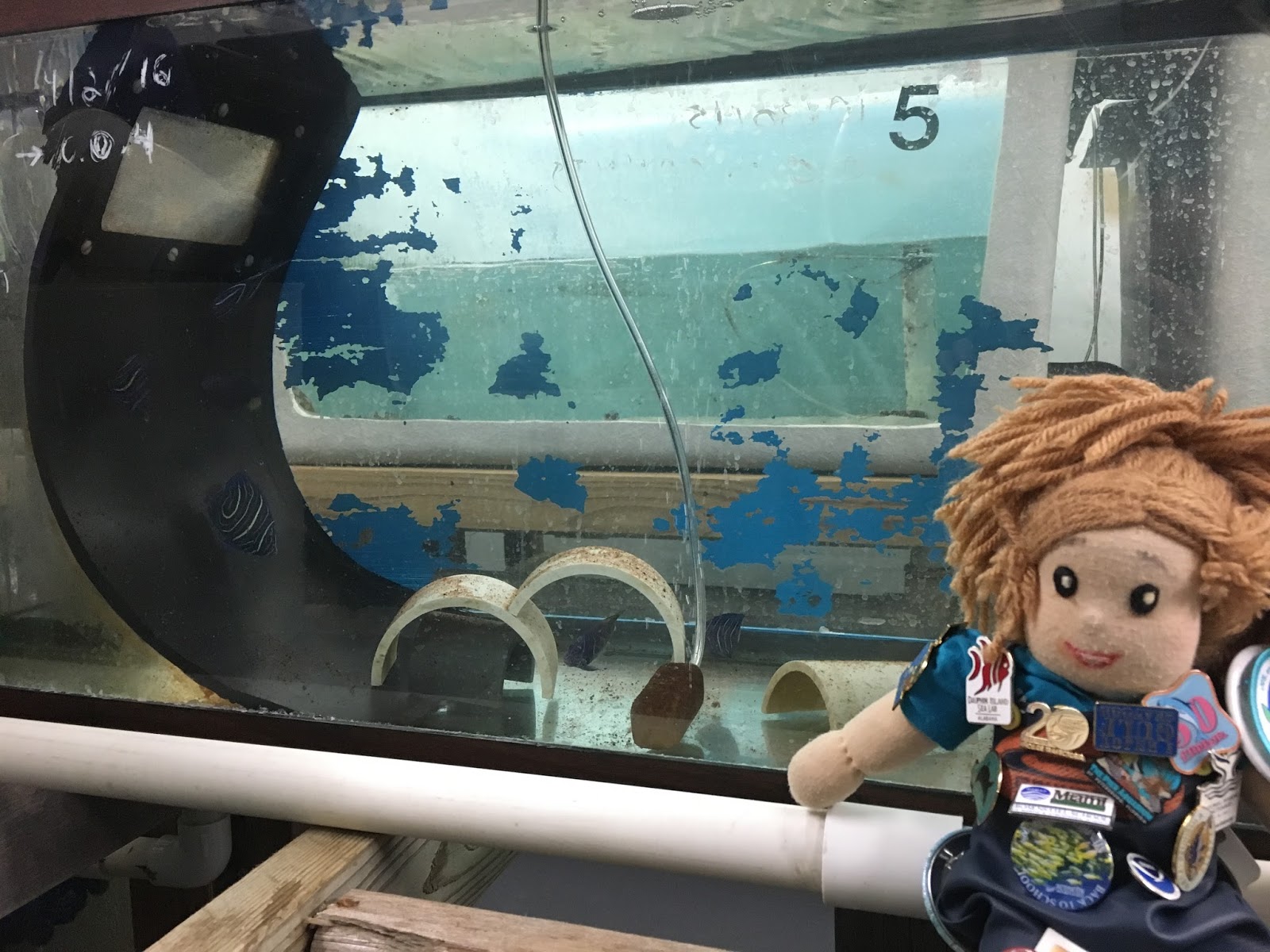 Abby's Aquarium Adventures