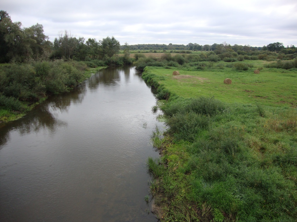 Prochownia w Terespolu: Tym razem Neple.
