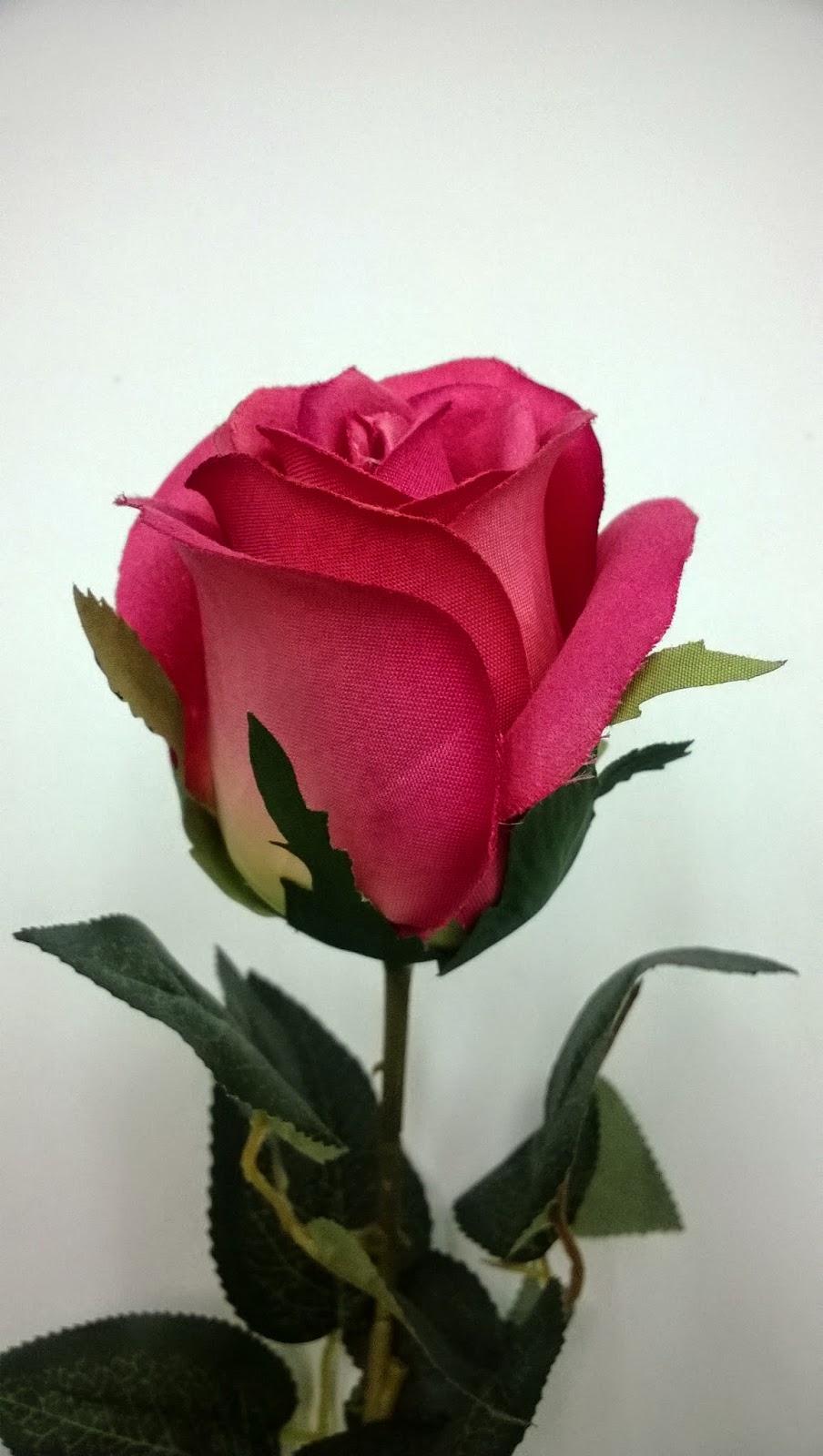 Rosa en boton X1 (H01203) | Pruebas