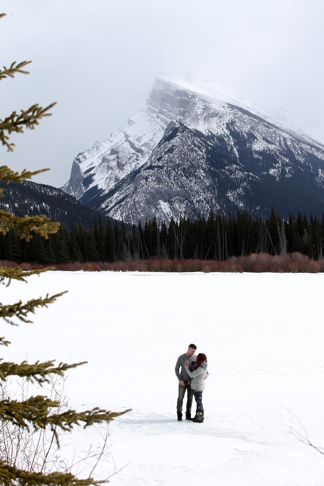 Alpine Peak Photography: Banff Portrait Photographer - Baby Announcement