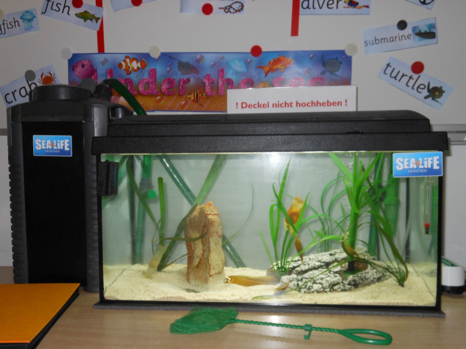 SEA LIFE München: Einzug der Haieier Teil 1