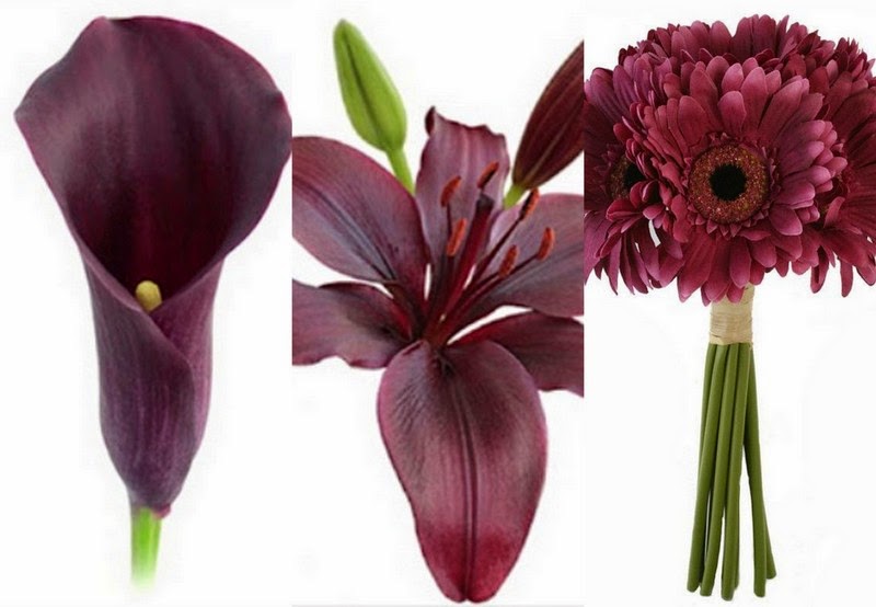 Xícara Decor: Marsala a cor do ano