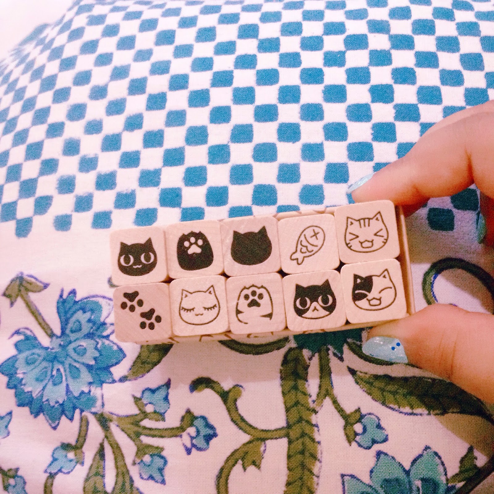The Whimsy Bookworm A Book Blog From India Stationery Sunday Cat