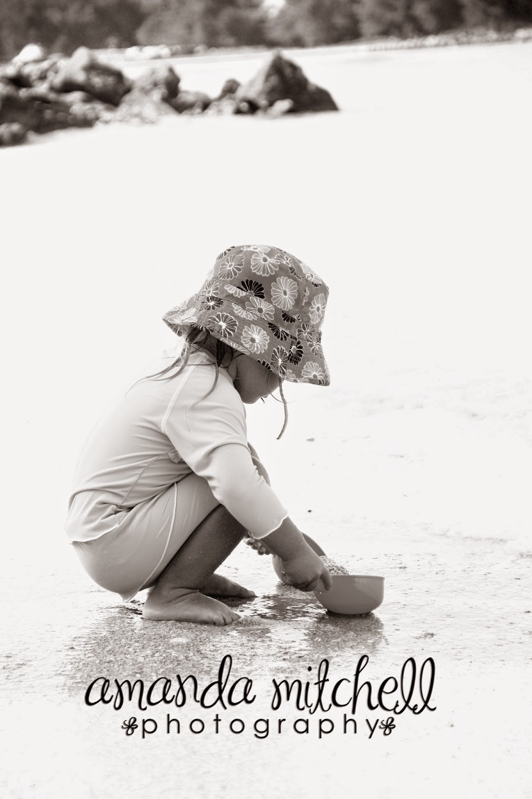 Amanda Mitchell Photography