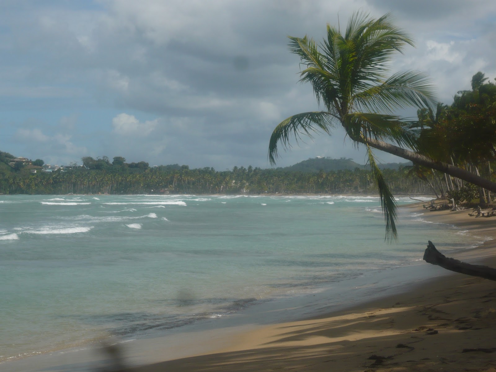 VISITAR, CONOCER Y VIVIR EN REPUBLICA DOMINICANA: PLAYA DE LAS TERRENAS ...
